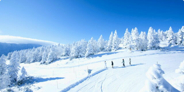 Skiing Nirvana: Unveiling the Magic of Shiga Kogen, Japan - Eskipedia